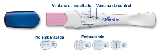 Test De Embarazo Con Detecci n R pida Clearblue